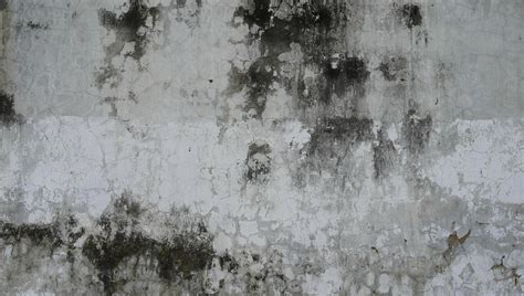 Download Dirty Wall Texture Concrete Wallpaper Wallpapers Com