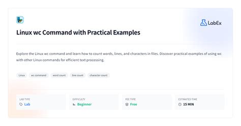 Linux Wc Command With Practical Examples Labex Linux Wc Command With Practical Examples Labex