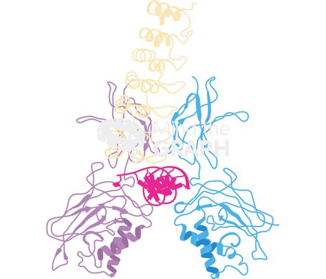 Free Bcl Protein Structure Icons Symbols Pictures And Images Mind The Graph
