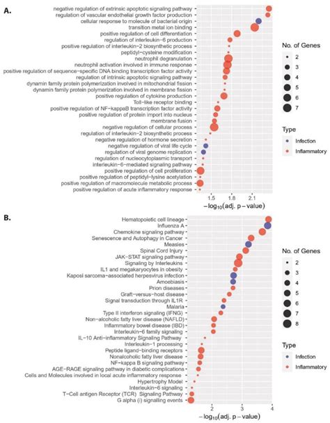 Functional Analyses Using Web Based Platform Enrichr 38 For The