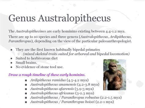 A Pre Australopithecine Most Likely Has Which Of The Following Characteristics