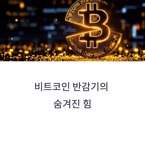 비트코인 반감기 후 시장 변동성 예측