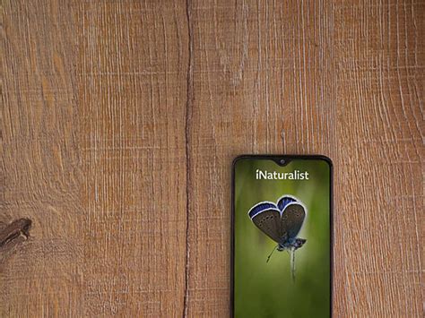 Black Display With Inaturalist App Launch Screen And Logo Photo