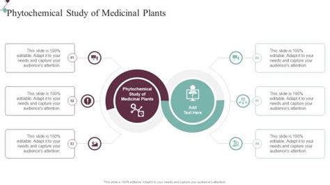Medicinal Plants Presentation Powerpoint Presentation And Slides Ppt