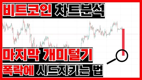 비트코인 차트분석 마지막 개미털기 폭락에 시드 지키는 방법 Youtube