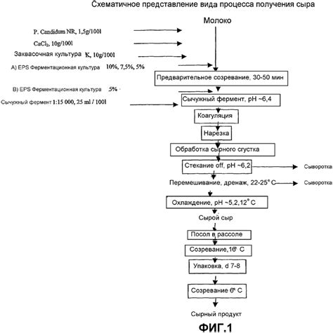 Технологическая схема производства адыгейского сыра