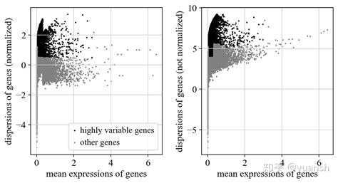 Seurat提取表达矩阵（单细胞 Singlecell）scanpy流程——python 实现单细胞 Seurat 流程赵北云的博客 Csdn博客