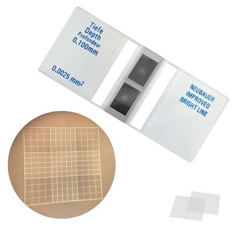 Hemocytometer Cell Counting Chamber Improved Philippines Ubuy