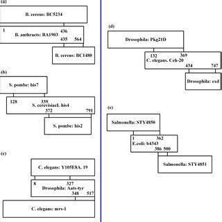 Multi Panel Image Obtained After Border Removal Download Scientific Diagram