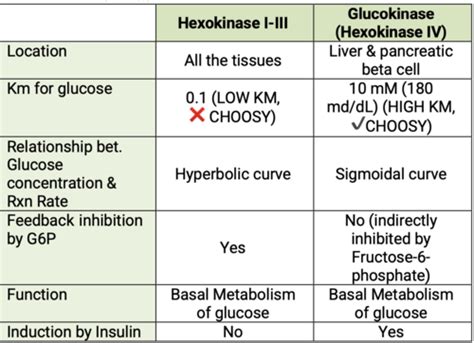 Glycolysis Pyruvate Oxidation Tca Flashcards Quizlet