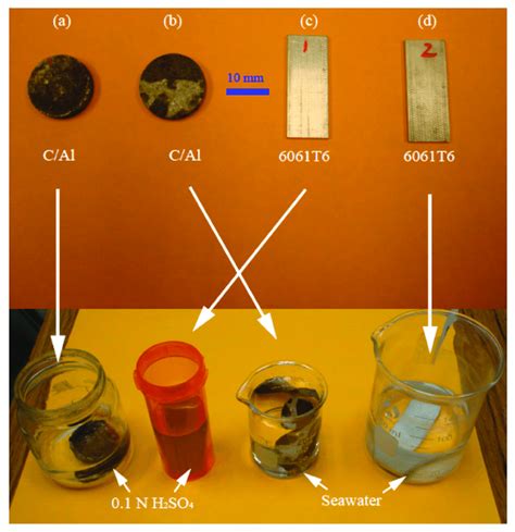 The Immersion Corrosion Test Set Up Including The Specimens And The