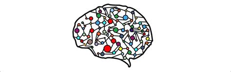 Applications Of Machine Learning For Computer Vision Chooch