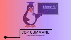 Scp Command Examples To Securely Transfer Files In Linux