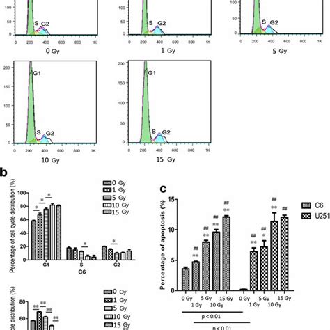 Cell Cycle Distribution And Apoptotic Rates Of The Two Cell Lines