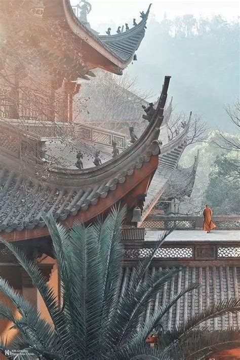 睡前一曲丨禅音善净化心灵的安眠曲 古筝