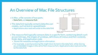 Examining Mac File Structures PPTX Operating Systems Computer Software And Applications