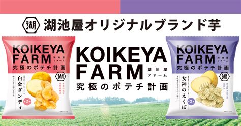 芋からつくる究極のポテチ計画「koikeya Farm」│株式会社湖池屋