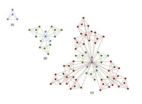 the process ravasz et al employ to construct hierarchical modular