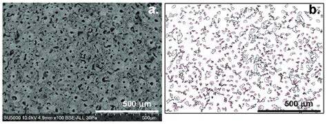 example of a used sem image ×100 a and imagej pore identification b