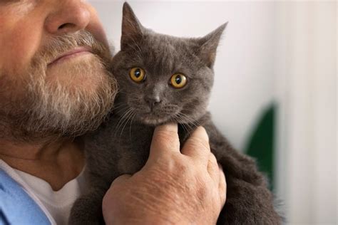 Vieil Homme Tenue Chat Vue Côté Photo Gratuite