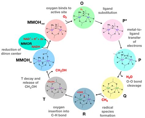Methane Monooxygenase Chemistry Libretexts