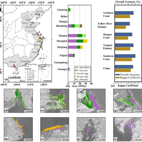 Pdf Mapping Coastal Salt Marshes In China Using Time Series Of Sentinel 1 Sar
