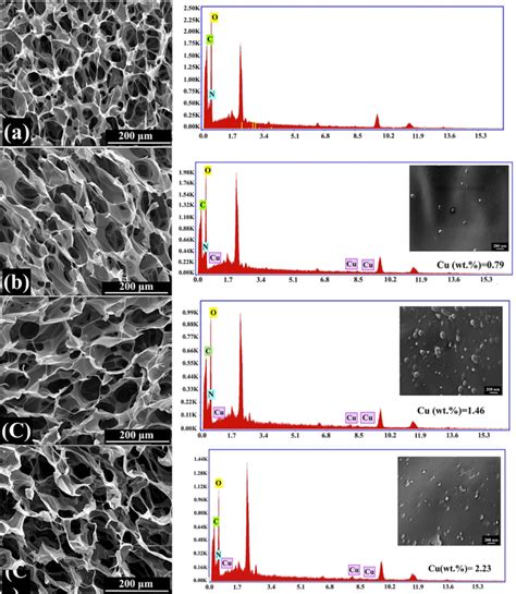 SEM images cross section scale μm corresponding EDS spectra Download Scientific