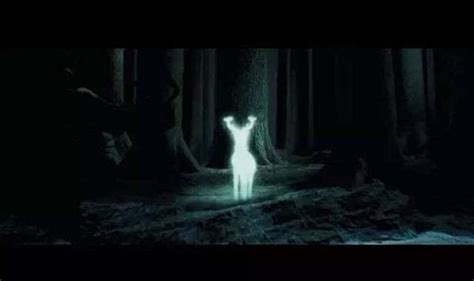 哈利波特摄魂怪 动态图库网