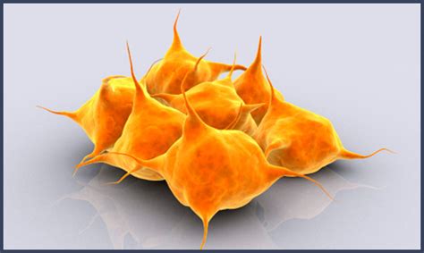 Video Prophylactic Platelet Transfusion In Subgroups Of Patients With