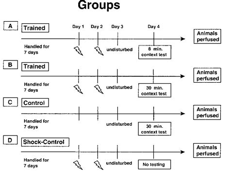 Figure 1 From Contextual Fear Conditioning Is Associated With