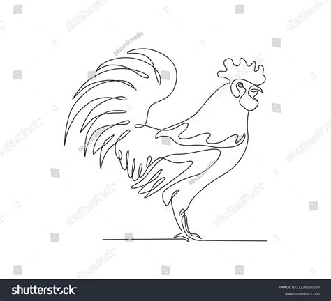 Continuous One Line Drawing Rooster Male Stock Vector Royalty Free 2226150627 Shutterstock