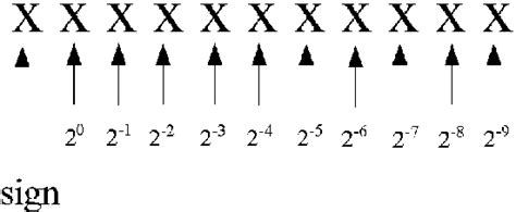 Magnitudes In Each Bit Location Download Scientific Diagram