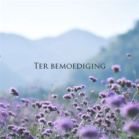 Wenskaart Ter Bemoediging Majestically