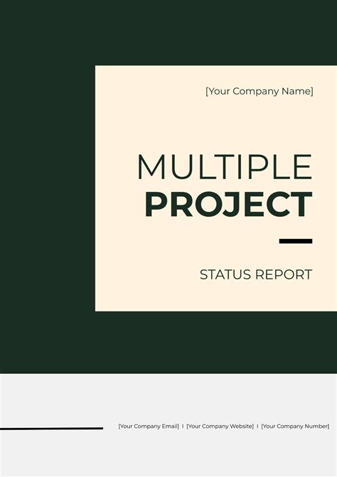 Multiple Project Status Report Template Edit Online And Download