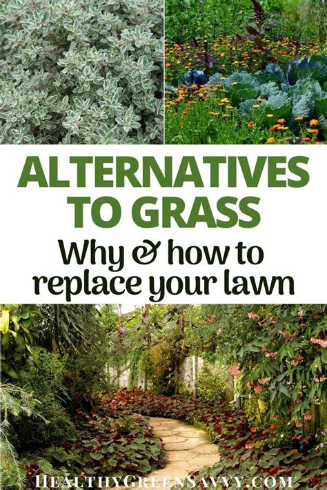 Grass Alternatives Why How To Replace Your Lawn Artofit