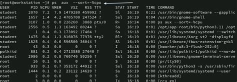 Sorted Cpu And Memory Consuming Processes Red Hat Learning Community