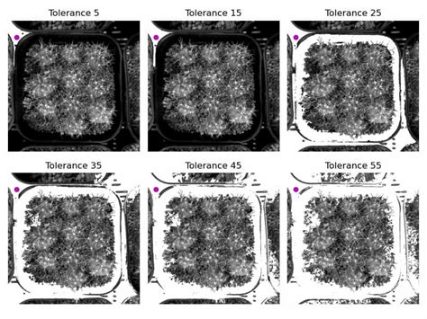 [scikit image] 84 flood fillのtoleranceにより塗りつぶす領域を変化させる gmentation flood fill サボテンパイソン
