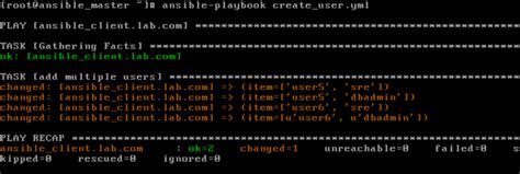 Ansible Loop How To Use A Loop Keyword With Examples