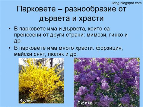 Светът на Лио Човекът и природата 4 клас Животът в парка