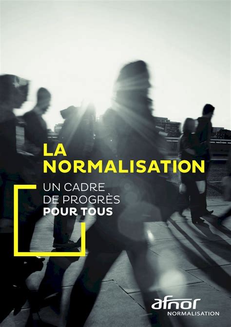 Pdf La Normalisationde La Normalisation En France Et Affiche Une