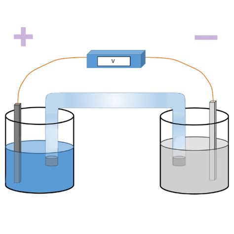 Diagram Of Galvanic Cells Quizlet