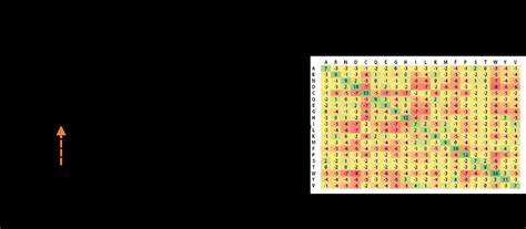 Training Procedure Incorporating Evolutionary Information Utilizing The Download Scientific