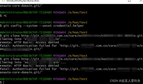 Remote Basic Access Denied解决方案亲测有效！！！ Csdn博客