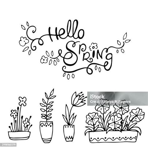 냄비에 꽃 세트와 흰색 배경에 Hello Spring이라는 글자가 있습니다 낙서 벡터 일러스트 레이 션 색칠 공부 책 인사말