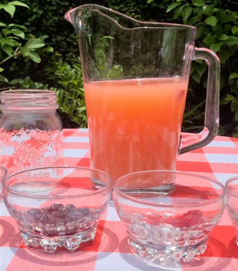 Pink Lemonade Delect