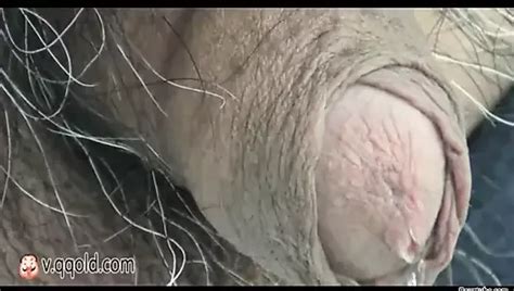 Old Chinese Xhamster