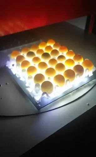 Automatic Egg Candling Machine At ₹ 62000 Piece Sanitizer In Serampore Id 22653484055