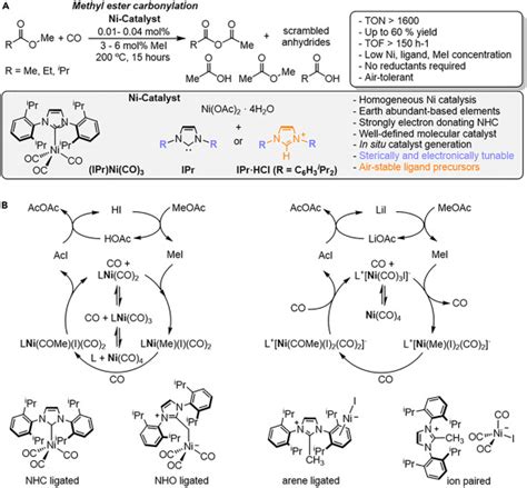 Imidazole Derived Carbenes And Salts Boost Nickel Catalyzed Ester