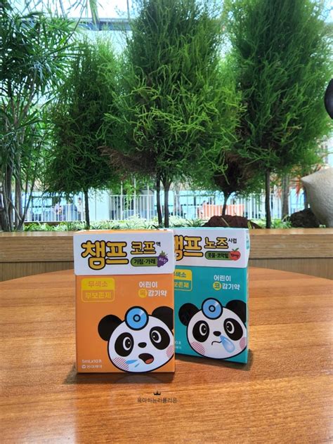 아기코막힘 유아 콧물 감기 챔프로 미리 대비해요 네이버 블로그