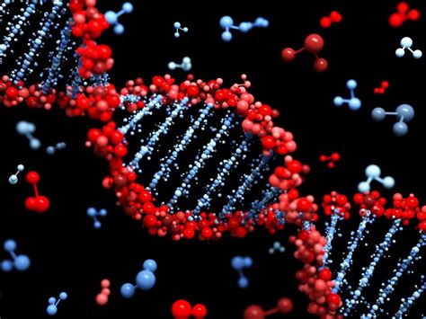 Applied Spatial Context In Imaging Mass Cytometry